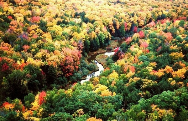 10 experiences to make the most of fall in Michigan - Buy Michigan Now