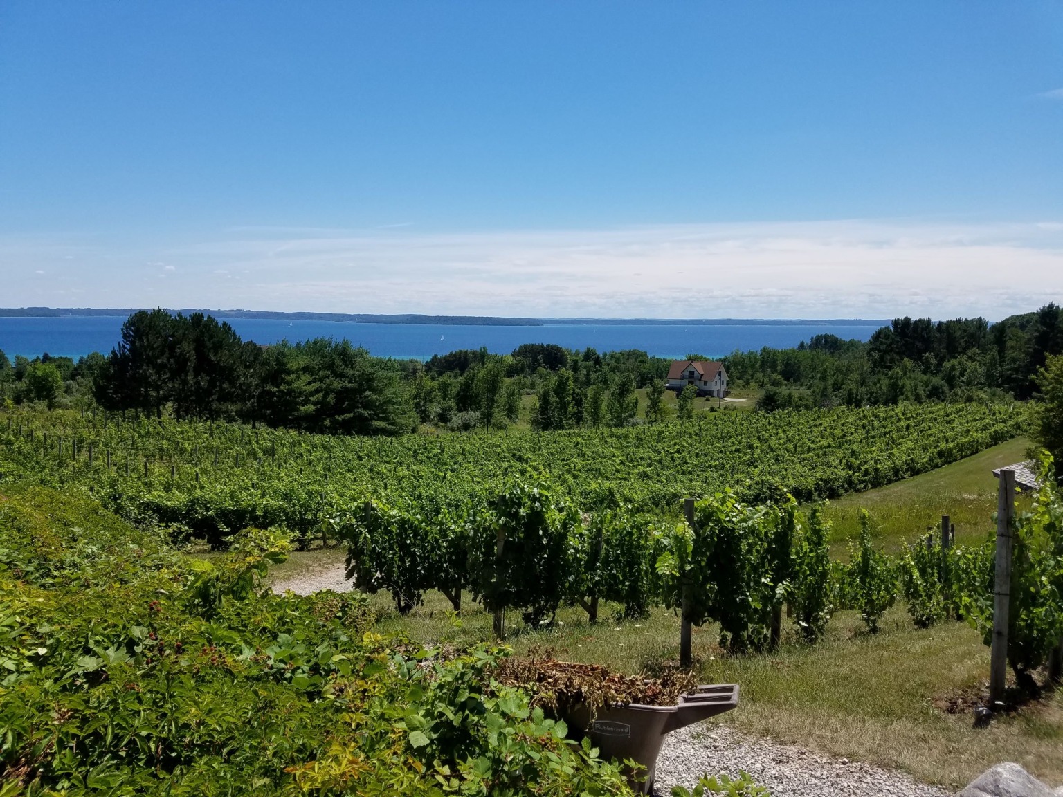 8 great ways to celebrate Michigan Wine Month - Buy Michigan Now