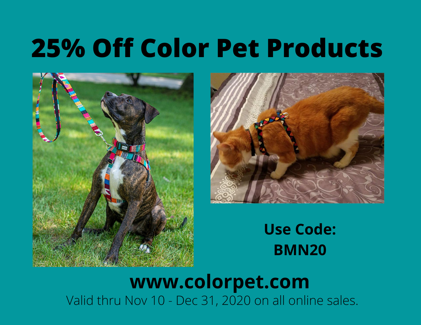Color Pet Products - Buy Michigan Now