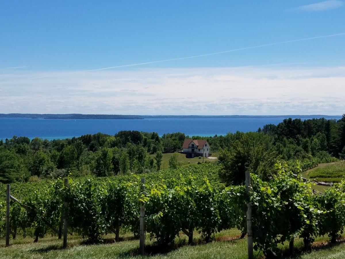 Michigan's 8 notable wine trails - Buy Michigan Now