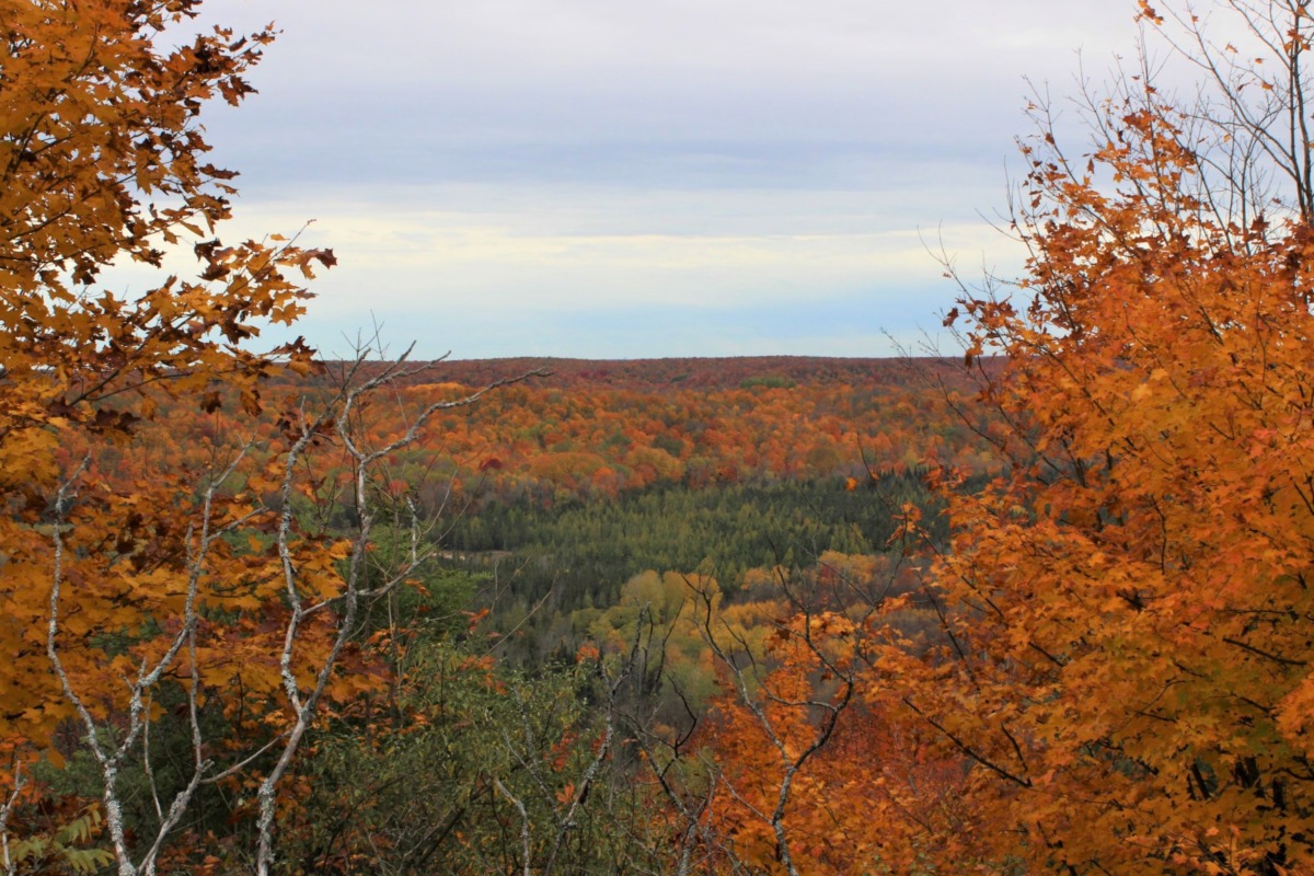 Best ways to view Michigan’s fall color from up above - Buy Michigan Now