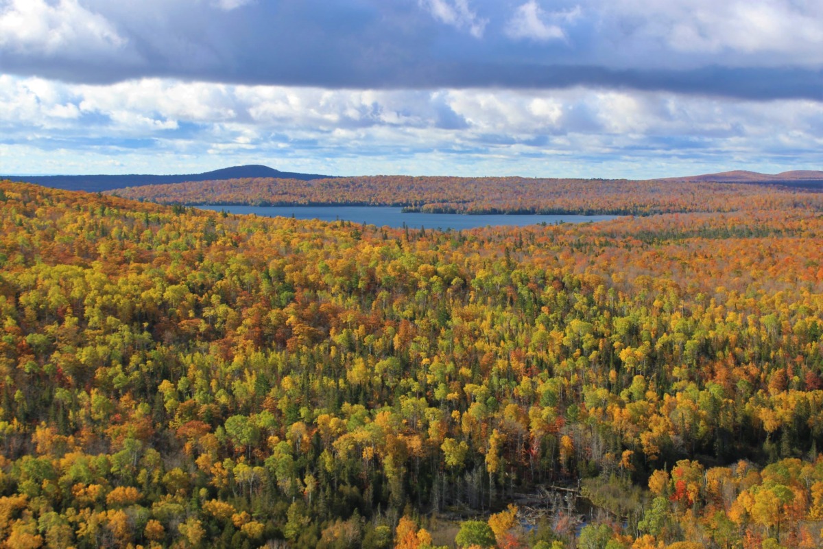 Best ways to view Michigan’s fall color from up above - Buy Michigan Now