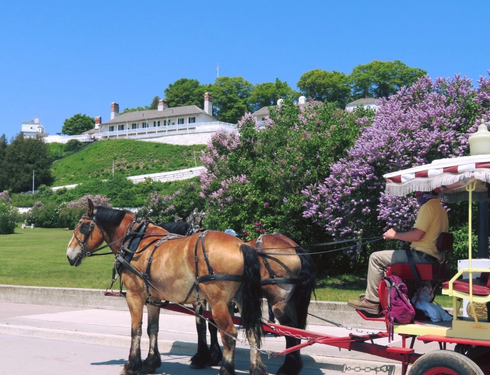 12 things to do in Michigan in November - Buy Michigan Now