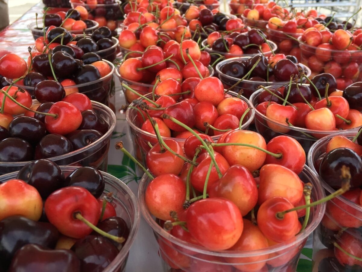 12 things to do in Michigan in July - Buy Michigan Now