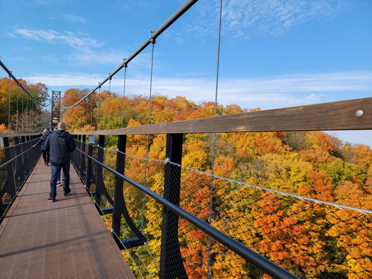 Take a walk on the stunning side at Skybridge - Buy Michigan Now